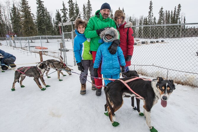 Dog Sledding - Subarctic Wilderness Tour - Authenticity and Customer Feedback