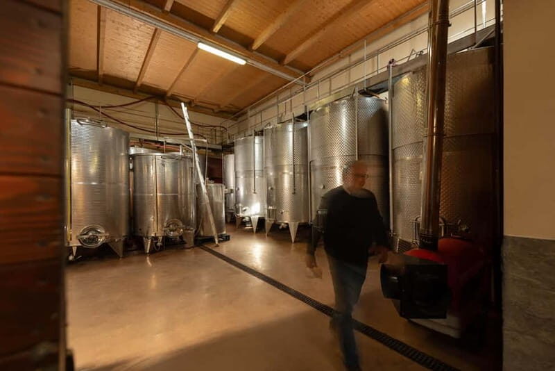 Dogliani: Tasting of 7 Wines in the Heart of the Langhe - Final Thoughts: Is It Worth It?