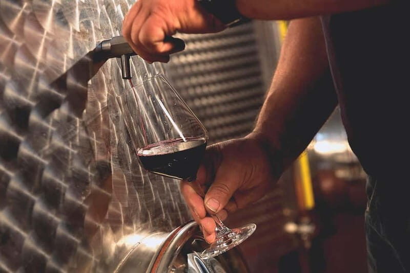 Dogliani: Tasting of 7 Wines in the Heart of the Langhe - In The Sum Up