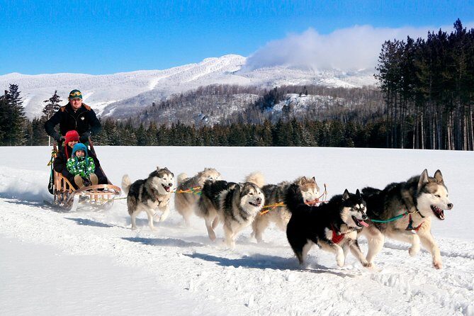 Dogsled Adventure in Mont-Tremblant - The Midpoint and Interaction with Dogs