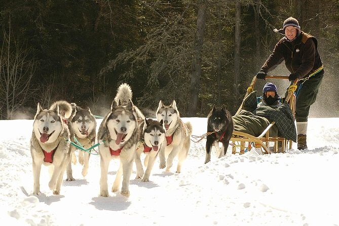 Dogsled Adventure in Mont-Tremblant - Practical Tips for Your Dogsledding Day