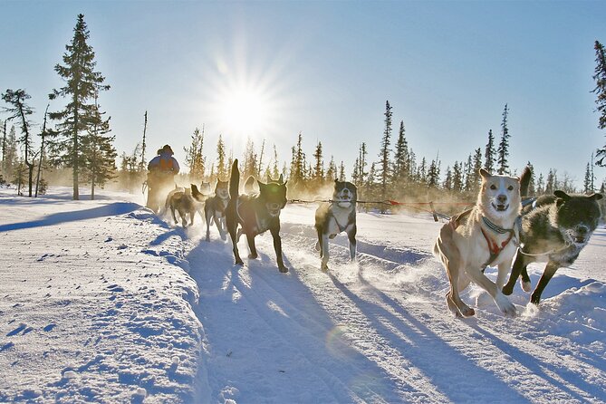 Dogsled Adventure Kiruna - Location and Accessibility