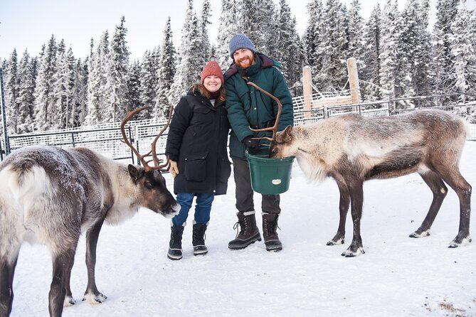 Dogsled and Reindeer Day Trip to Borealis Basecamp - A Closer Look at the Experience