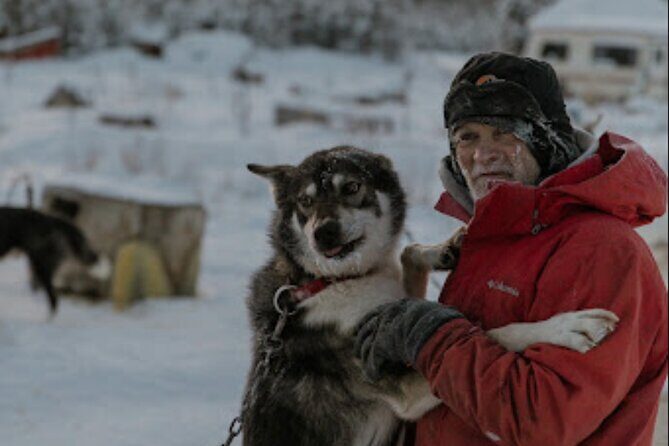 Dogsled Rides - Final Thoughts