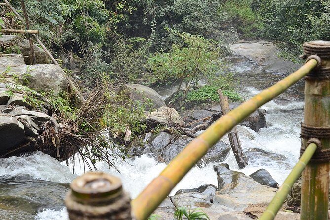 Doi Inthanon at afternoon and Hiking - An In-Depth Look at the Doi Inthanon Afternoon & Hiking Tour