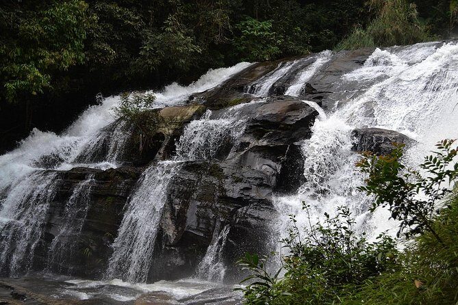 Doi Inthanon at afternoon and Hiking - FAQ