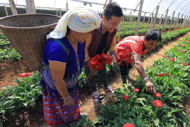 Doi Inthanon Day Trip from Chiang Mai including Karen Hill Tribe & Twin Pagodas - Authentic Experiences and Practical Tips