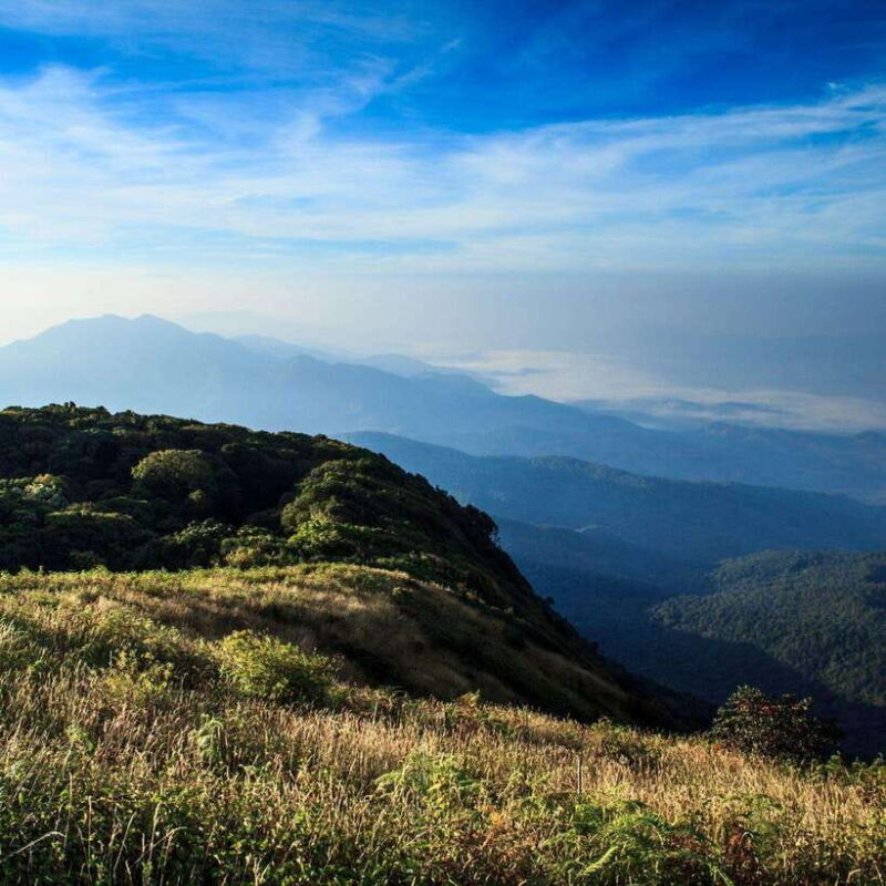 Doi Inthanon: Kew Mae Pan viewpoint trekking day tour - Practical Details and Value
