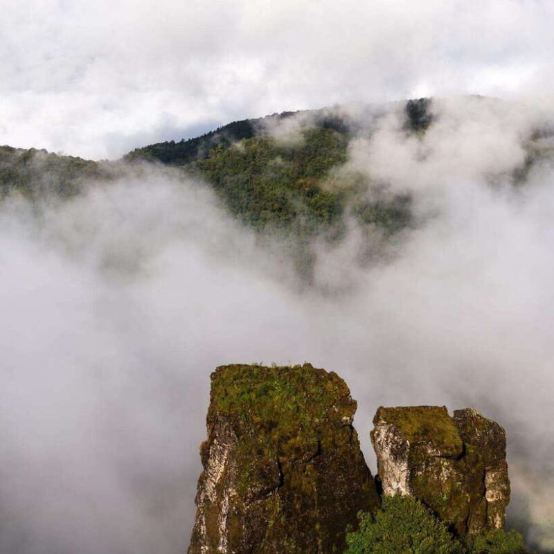 Doi Inthanon: Kew Mae Pan viewpoint trekking day tour - Final Thoughts: Who Should Sign Up?