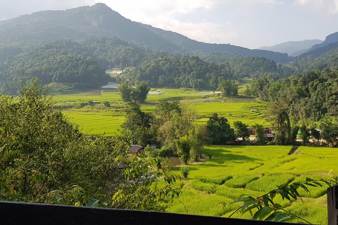 Doi inthanon National Park + 2Hour Fantastic Trekking with Lunch - Cultural Encounters and Local Flavors