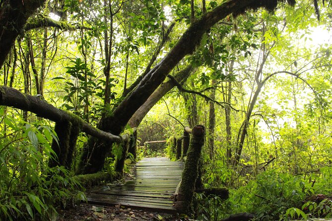 Doi Inthanon National park and 2 hours hiking with private tour - FAQ