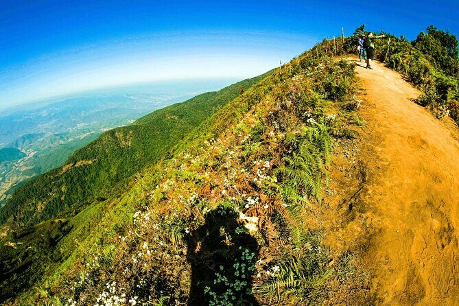 Doi Inthanon National Park and Kew Mae Pan Nature Trail Full Day Tour - Cultural Encounters: Hill Tribes and Local Markets
