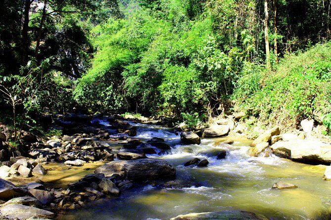 Doi Inthanon National Park and Kew Mae Pan Nature Trail Full Day Tour - Waterfalls and Landmarks: Wachirathan Waterfall and Pagodas