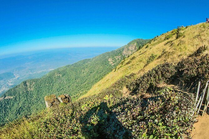 Doi Inthanon National Park and Kew Mae Pan Nature Trail Full Day Tour - Practical Details and What to Expect