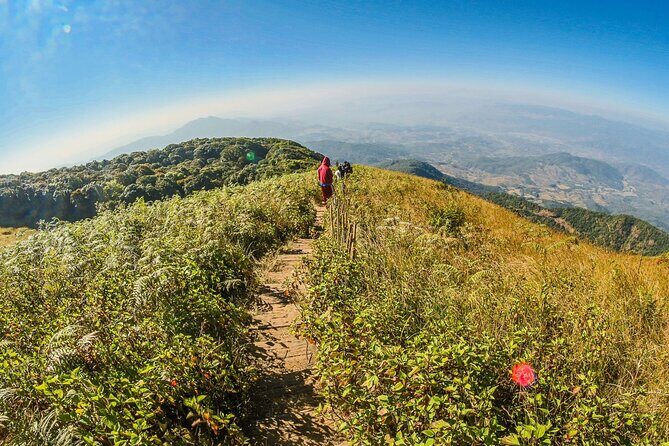 Doi Inthanon National Park and Kew Mae Pan Nature Trail Full Day Tour - The Sum Up