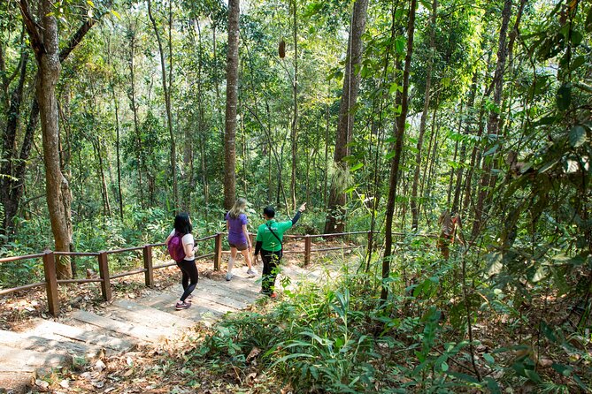 Doi Inthanon National Park Eco-Friendly Full Day Tour - Final Thoughts: Who Will Love This Tour?