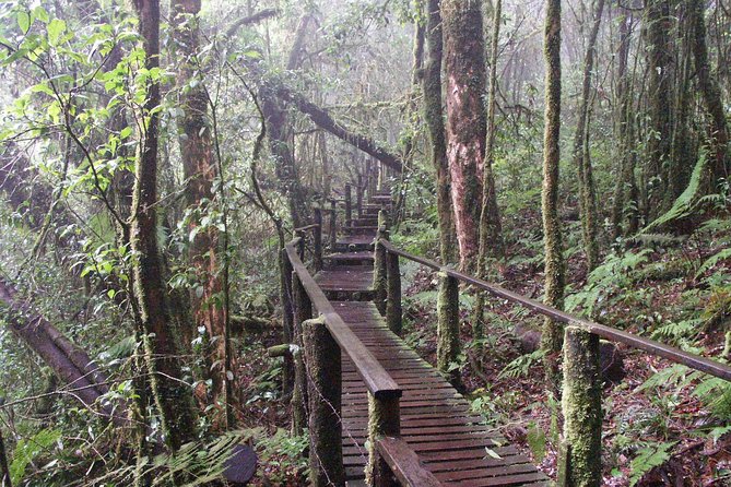 Doi Inthanon National Park - Thailand's Highest Peak - Pricing and Value