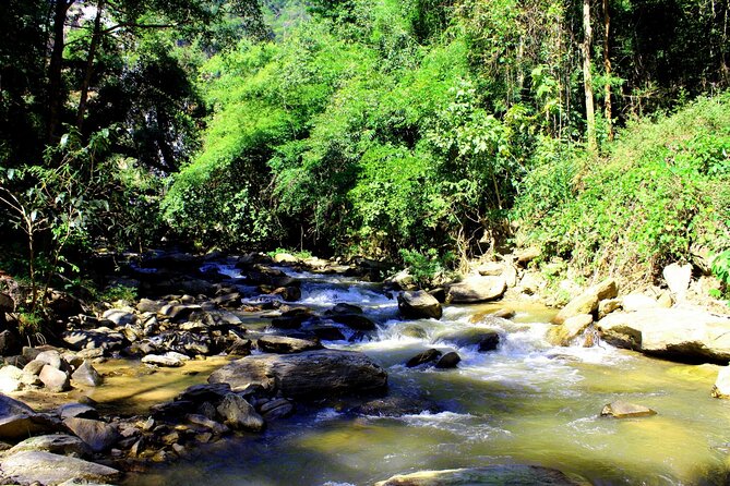 Doi Inthanon National Park, Waterfall & Royal Project Day Tour From Chiang Mai - The Sum Up: Who Will Love This Tour?