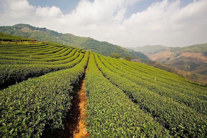 Doi Mae Salong and Mae Sai Explored - Value and Overall Impression