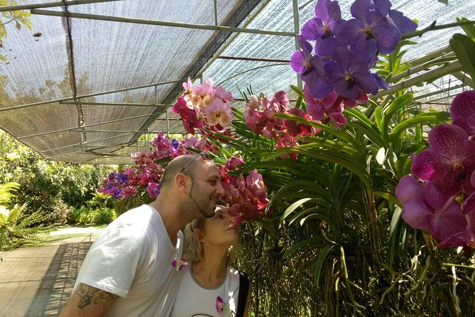 Doi Suthep Temple and Bau Thong Waterfalls Private Tour - Final Thoughts