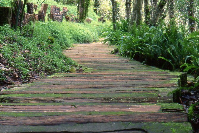 Doi Tung & Royal Villa Guided Cultural Tour - The Sum Up: Why This Tour Is a Solid Choice