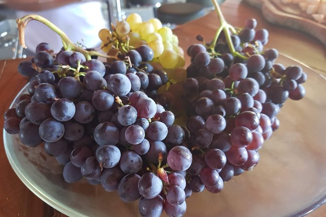 DOLCEACQUA & the NERVIA VALLEY - the Home of Rossese Wine and Monets Beloved Bridge - Indulging in a Wine Tasting Experience