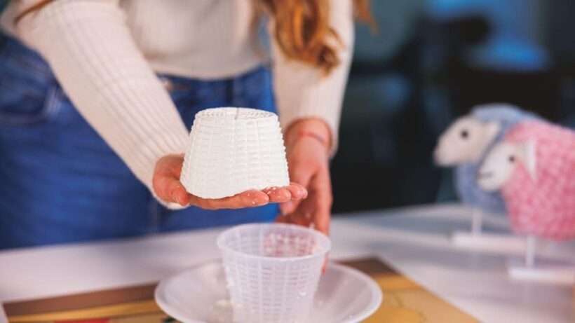 Dolianova: visit and workshop in a cheese factory - Key Points
