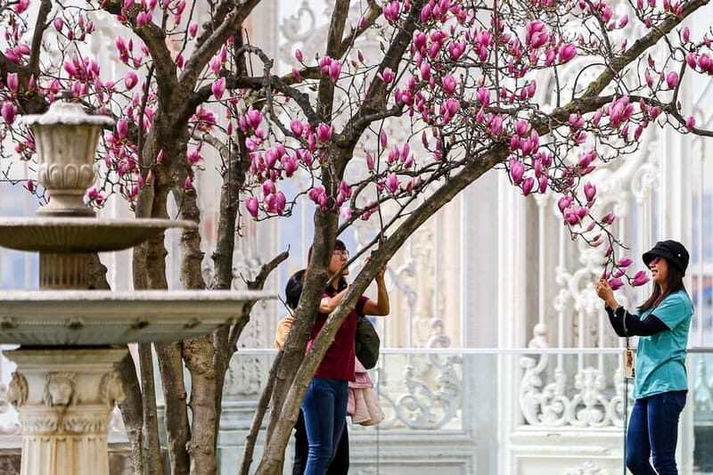 Dolmabahce Palace & Harem Fast-Track Entry with Audio Guide - The Sum Up