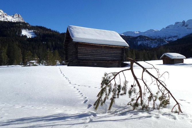 Dolomites of Cortina Winter Hiking & Sledding Experience - Frequently Asked Questions