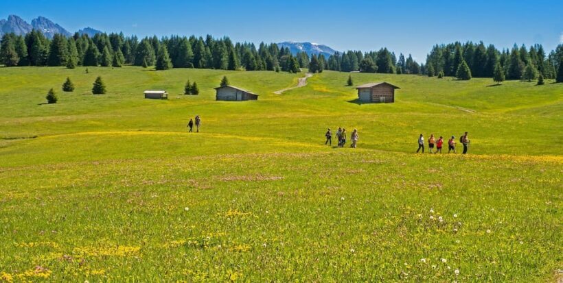 Dolomites private guided city tour - What’s Included and What’s Not