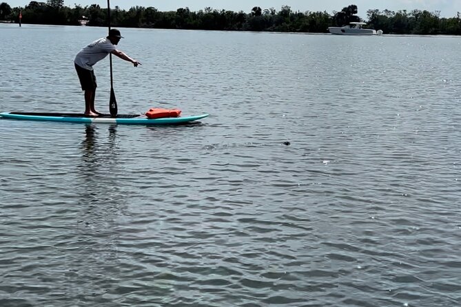 Dolphin and Manatee Adventure Tour of Merritt Island - Flexible Booking and Memorable Encounters