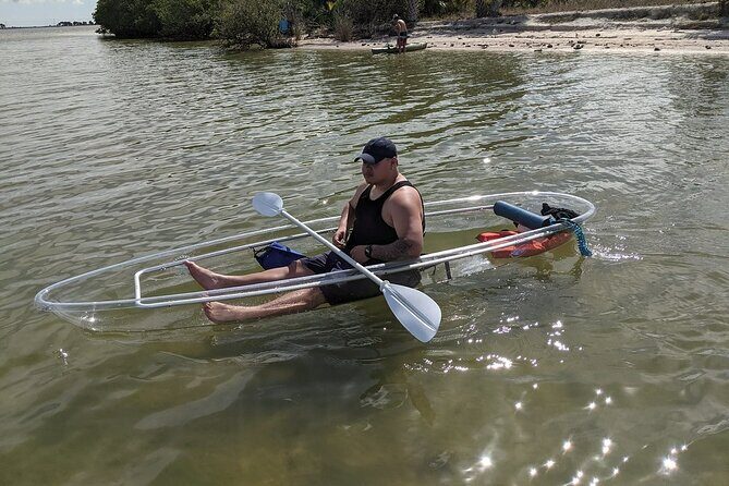 Dolphin and Manatee Clear Kayak or Paddleboard Tour - Practical Details and Value