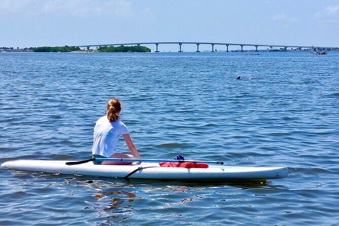 Dolphin and Manatee Clear Kayak or Paddleboard Tour - Why This Tour Stands Out