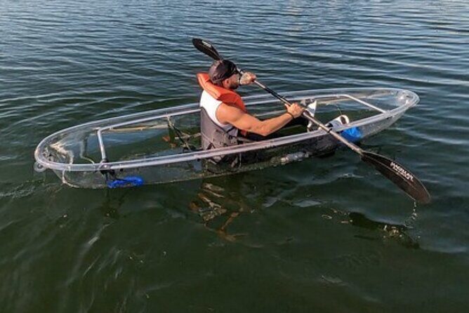Dolphin and Manatee Clear Kayak or Paddleboard Tour - Who Should Consider This Experience?