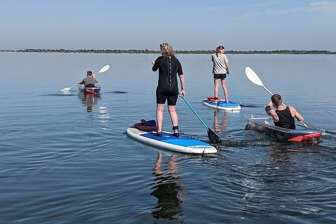 Dolphin and Manatee Clear Kayak or Paddleboard Tour - Final Thoughts