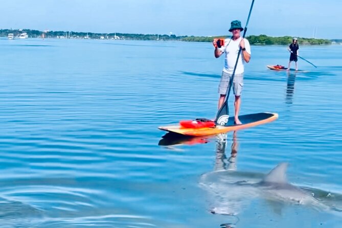 Dolphin and Manatee Kayak and SUP Adventure Tour of Cocoa Beach - Wildlife Sightings and Encounters