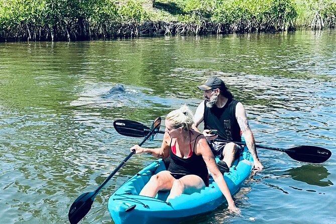 Dolphin and Manatee Kayak and SUP Adventure Tour of Cocoa Beach - Guided Kayak and Paddle Board Experience