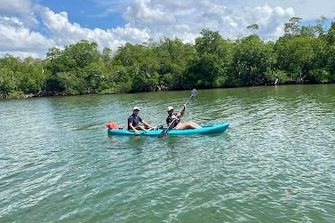 Dolphin and Manatee Kayak Tour of Daytona Beach - Logistical Details