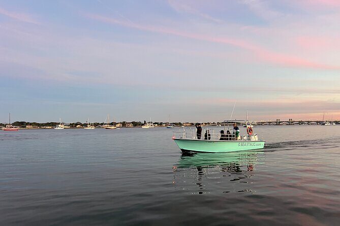 Dolphin and Nature Boat Excursion - An In-Depth Look at What This Tour Offers