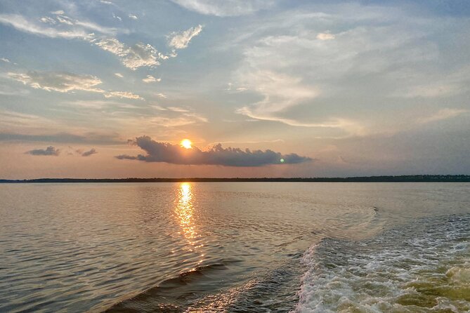 Dolphin and Nature Sunset Cruise from Orange Beach - The Sum Up