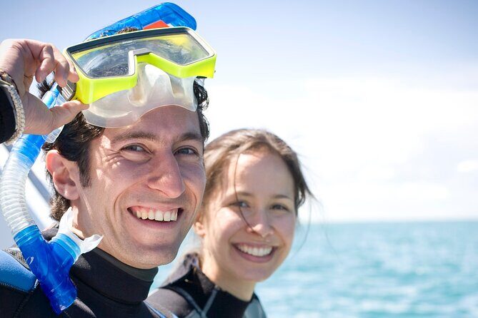 Dolphin and Seal snorkel adventure from Sorrento - The Sum Up