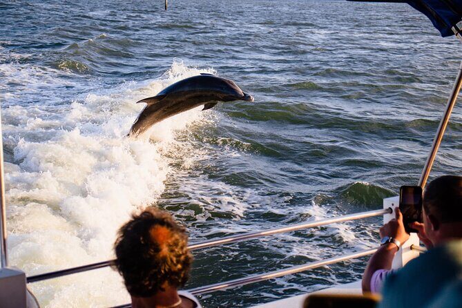 Dolphin and Shelling Cruise Tour at Fort Myers Beach - Final Thoughts