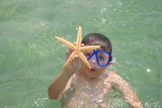 Dolphin and Snorkeling Activity in Panama City Florida - Why Travelers Love This Experience