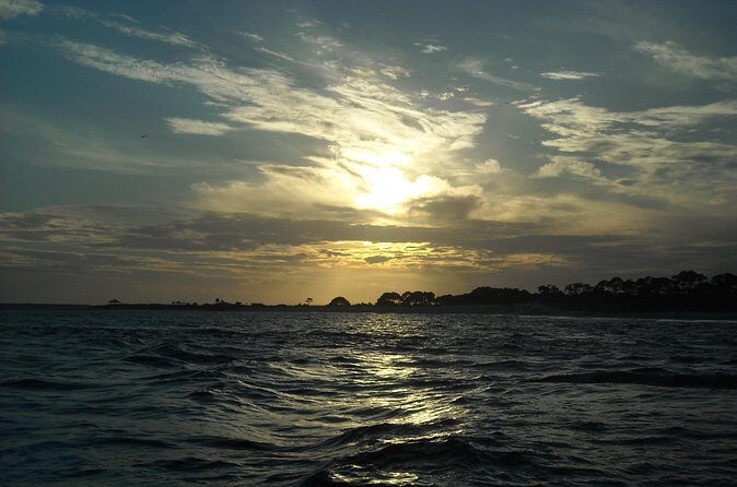 Dolphin and Snorkeling Activity in Panama City Florida - Who Should Consider This Tour?