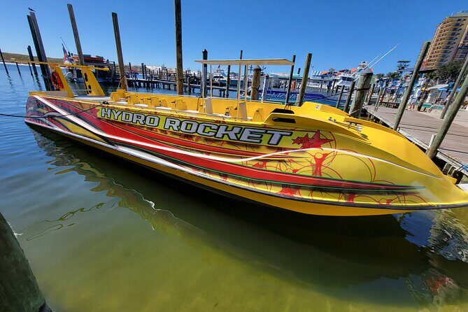 Dolphin and Sunset tour aboard the Hydro Rocket - How This Tour Compares
