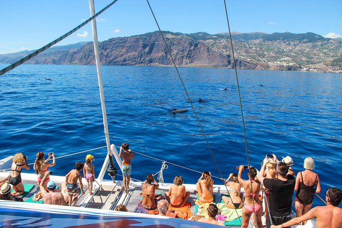 Dolphin and Whale Watching Catamaran Cruise From Funchal - Pricing and Cancellation Policy