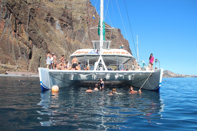 Dolphin and Whale Watching Catamaran Cruise From Funchal - Meeting Location and Pickup Information