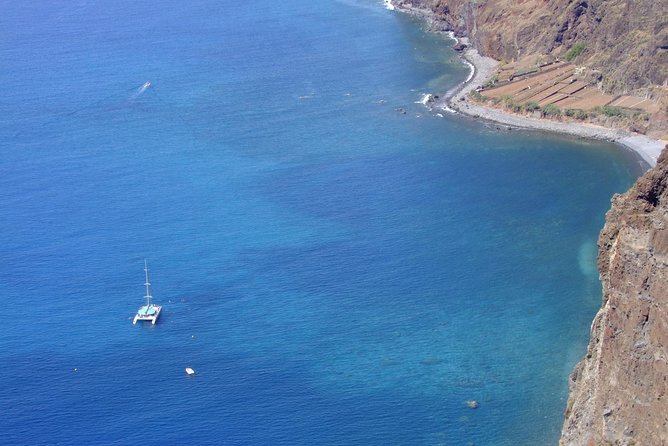 Dolphin and Whale Watching Catamaran Cruise From Funchal - Sighting Opportunities and Activities