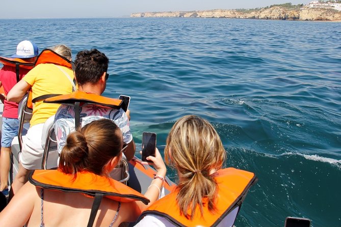 Dolphin and Whale Watching in Lagos - Customer Reviews and Ratings