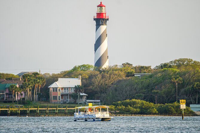 Dolphin and Wildlife History Tour - How Does It Compare to Other Experiences?
